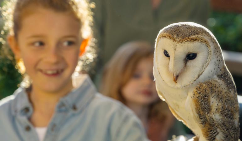Warrawong Wildlife Sanctuary | Home